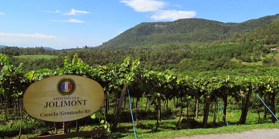 Vinícola Jolimont, Vale A Pena A Visita E Degustação?